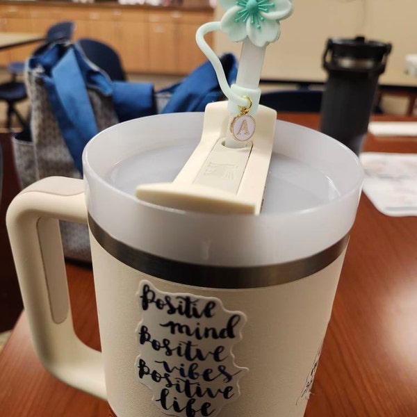 Personalized Puddle Jumper Cover for Toddler Swim Monogram Seersucker ...