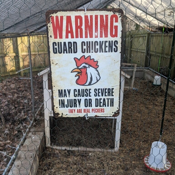 Warning Guard Chickens - Funny Metal Chicken Coop Sign - Etsy