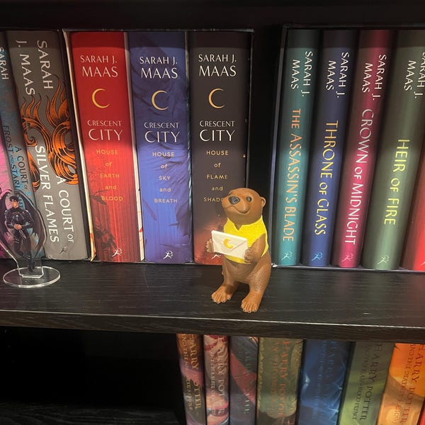 Skull Light up Book Nook USB 3D Printed Bookshelf Decor - Etsy