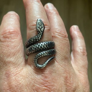 Wrapped Snake Ring Stainless Steel Cobra Ring Mens Silver Snake Band ...