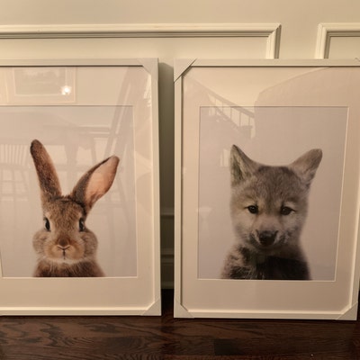 Wolf Print Wolf Cub Wall Art Pup Wolf Photo Nursery Decor - Etsy