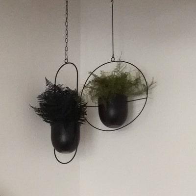 Real Preserved Pot Plant, Office Eternal Plant, Greenery Centerpiece ...