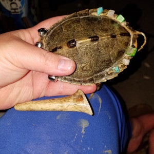 Snapping Turtle Shell Maraca Rhythm Percussion Instrument | Etsy