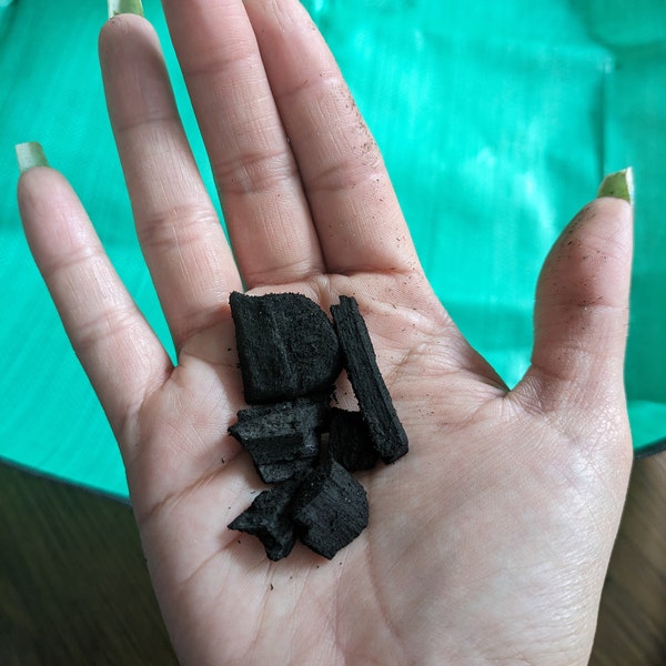 P2 1/2" Horticultural Charcoal - FAST SHIPPING - Many Sizes! - Etsy
