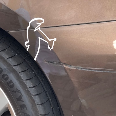 Cartoon Coyote Crash - Etsy