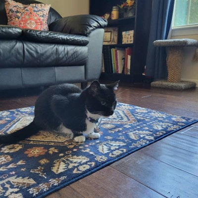 Meowhaus Cat Artist Enamel Pin - Etsy