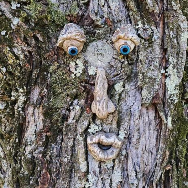 Lady Xyleena - Face Tree Art Female Tree Faces Gardeners Gift Garden ...