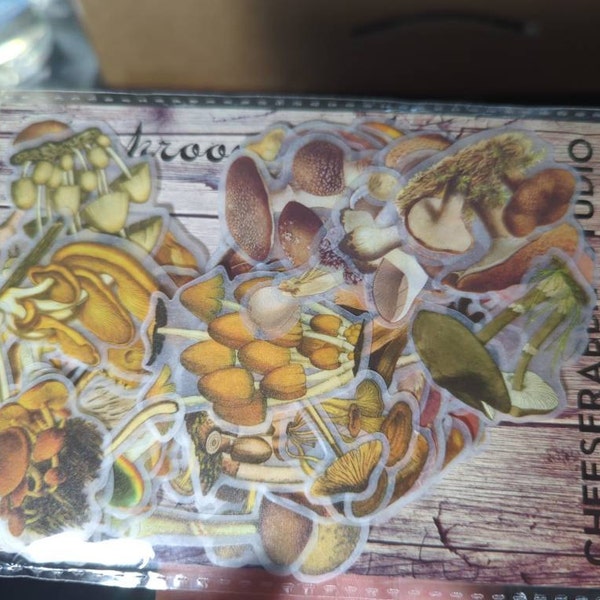 MUSHROOM Stickers / 100 Mushroom Die Cut Stickers / Vellum Mushroom ...