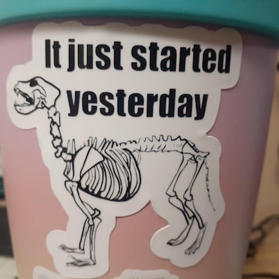 Funny Veterinary Receptionist Sticker Pack, Vet Stickers, Vet Med ...