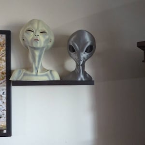 1:1 Grey Alien 11” 28cm Head / Bust in Shining Grey Skin With Black ...