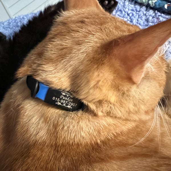 Cat Tag Silent Cat Tag Silde on Cat Collar Tag Cat Id Tag Cat Name Tag Silicone Cat Tag Custom ...