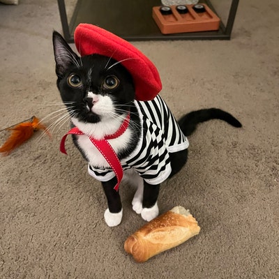 Complete French Cat Outfit Cat Beret Ascot and Striped Shirt - Etsy