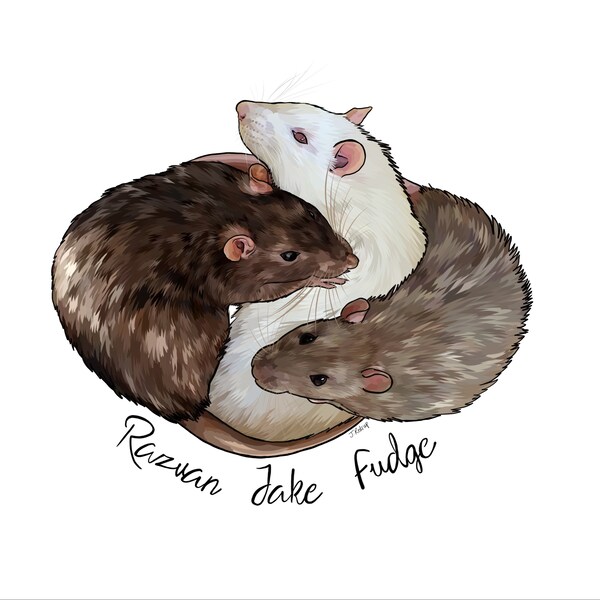 Detailed Rat Custom Pet Portrait! [digital Download/print] Rat Lovers ...