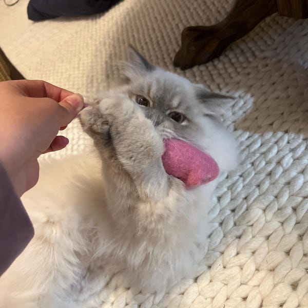 Wool Mouse Cat Toy - Choose Your Color - Etsy