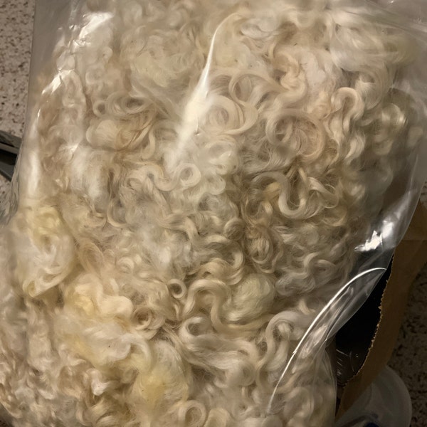 Raw Wool Lincoln Longwools Natural Colored - Etsy UK