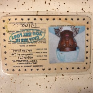 Tyler the Creator Call Me If You Get Lost Id Double Sided - Etsy