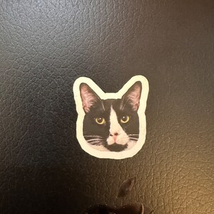 Custom Pet Sticker Animal Sticker Personal Sticker Photo - Etsy