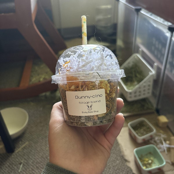 BUNNY-CINOS Forage Blend for Rabbits, Cute Pet Bunny Treats, Starbucks ...