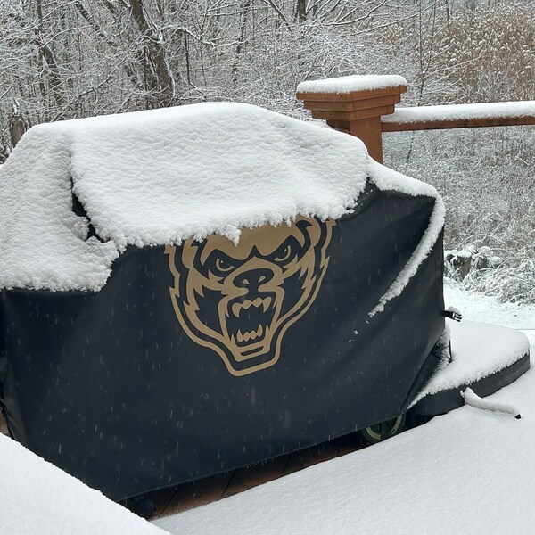 Michigan State University Logo Wall Mirror | MSU Spartans Decor - Etsy