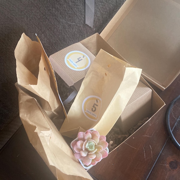 Make Your Own Gift Box, Create Your Own Gift Basket With Ribbon, Build ...