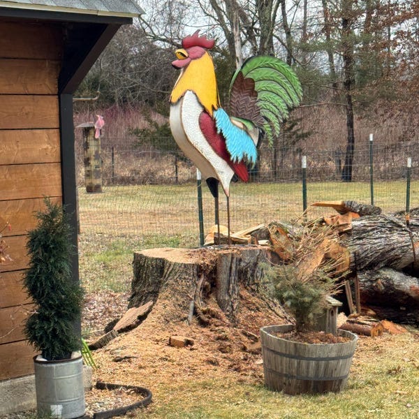 GIANT 5 Ft Tall Rooster Metal Statue Garden Art Yard Chicken - Etsy