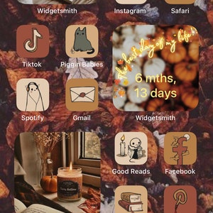 10000 Ios 17 Neutral App Icons Boho Fall Aesthetic Widget - Etsy UK