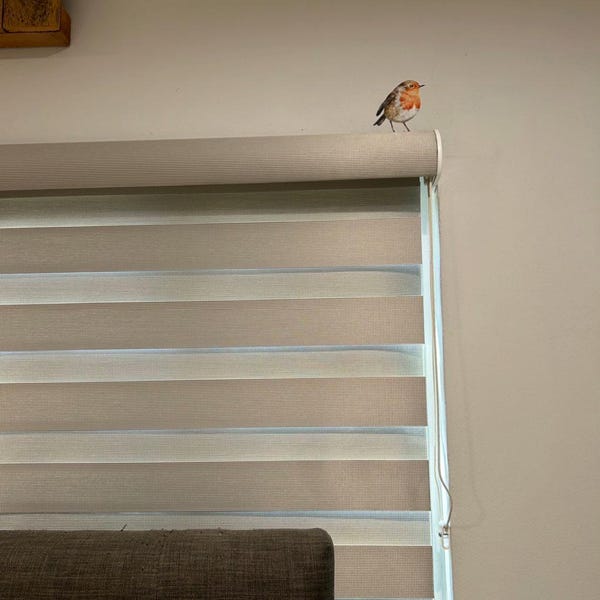 Flying Chickadee, Fabric Decal, Wall Decal Bird, Black-capped Chickadee ...