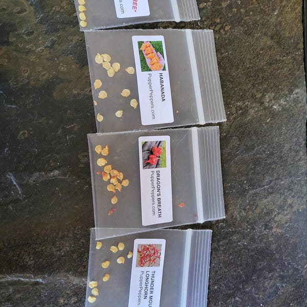 Purple Peach Carolina Reaper Rare Pepper Seeds Premium Packet - Etsy