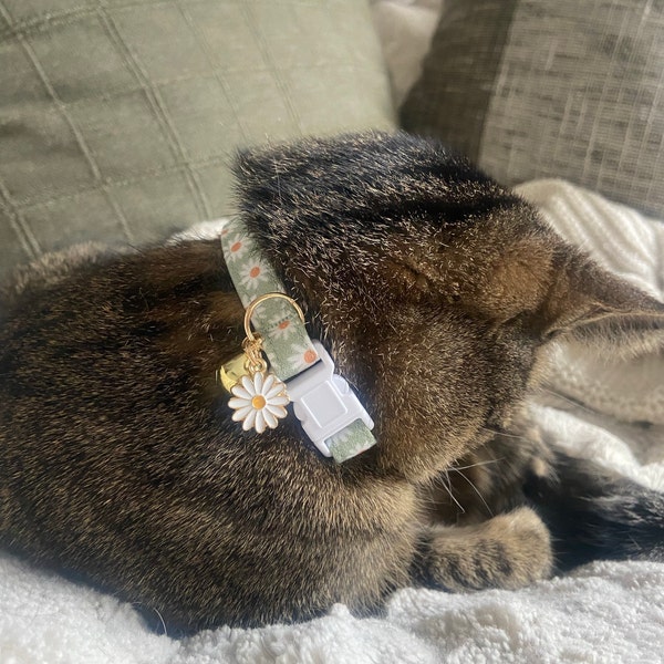 Sage Green Daisy Cat Collar, Floral Breakaway Cat Collar With Bell and ...