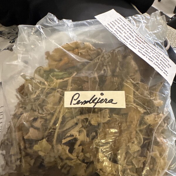 Atiponla -tostón-punarnava Boerhavia Diffusa Attacks Riches- Prosperity ...