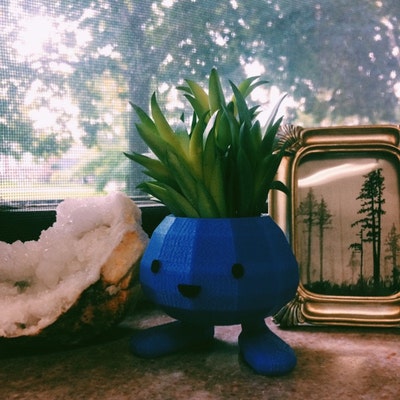 Oddish Planter Pokemon Christmas Gift Oddish 3D Printed - Etsy