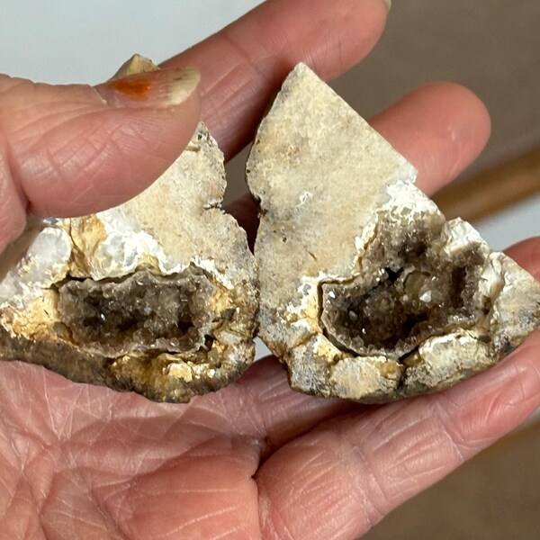 8lbs of Carthage TN Unopened Geodes/agates/nodules Lapidary Break or ...