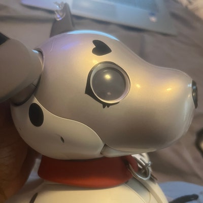Vinyl Aibo ERS-1000 Head Decal Stickers - Etsy