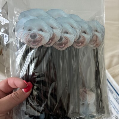 Custom Face Fans on a Stick, Face Cutouts for Bachelorette, Big Head ...