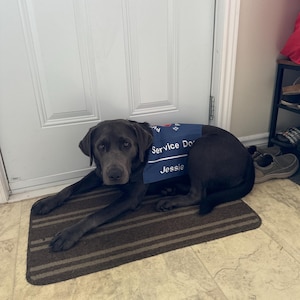 Dog Leash Wrap, Dog Leash Sleeve, Dog Leash, Dog Gear, Custom ...