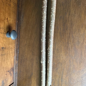 Natural Hazel Wood Branch, Wand Making Supply, Craft Decor (12'') - Etsy