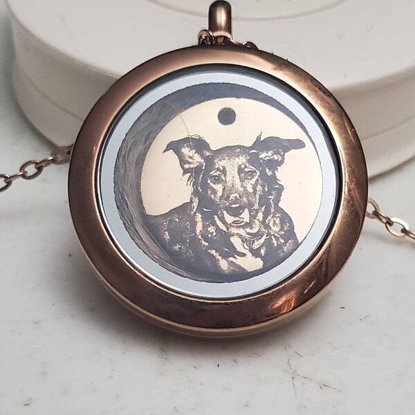 Custom Pet Fur Necklace • Pet Fur Locket Necklace • Dog Hair Memorial ...