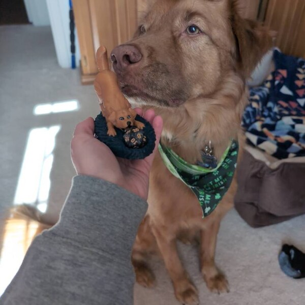 Cute Snake Bookmark, 3D Printed Bookmark, Cute Python Gift, Snake Gifts ...