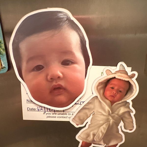 Face Magnets Custom Portrait Magnets. Custom Illustrated Gift, Family ...