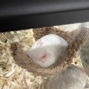 Mouse Hanging Hammock for Small Animals Cage Hammock for Multiple Mice ...