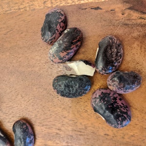 Organic Henna Mehandi Seeds,dye Seeds, Mignonetee Tree,egyptian Privet ...