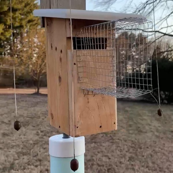 Insulated Roost Box for Songbirds | Cedar | Predator Guard ...