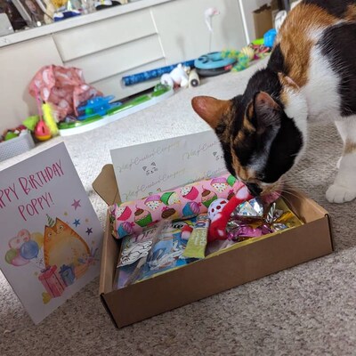 Personalised Cat Birthday Gift Box, Gotcha Day Presents, Pet ...