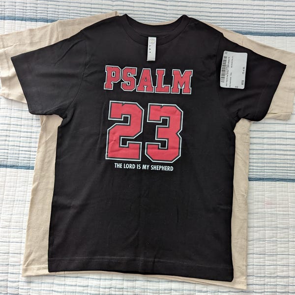 Kids Christian Shirt, Giant Slayer David Goliath, Little Boy Tee ...