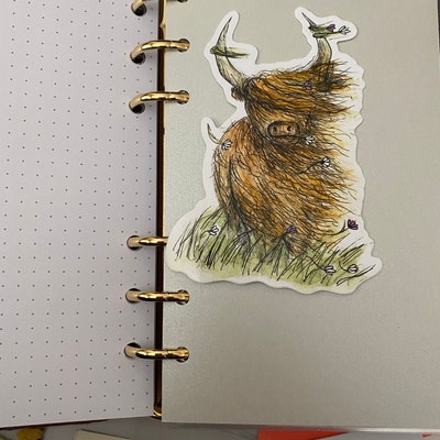 HEELAN COO Sticker Illustration Catherine Redgate Paper Bujo Stationery ...