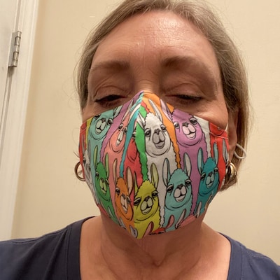 Mailman Face Mask USPS Face Mask Letter Carrier Cotton Cloth Face Mask ...