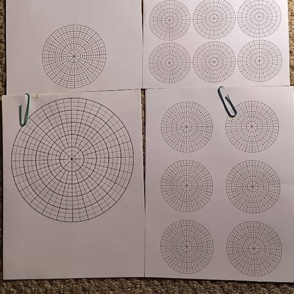 Circle Graph Template (PDF) - Etsy