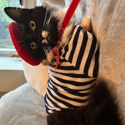 Complete French Cat Outfit Cat Beret, Ascot and Striped Shirt Pet ...