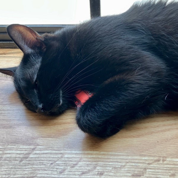 Chinese Takeout, Asian Hot Sauce Packet Catnip Cat Toy - Etsy