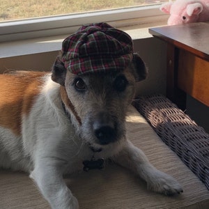Extra Small or Small Dog Newsboy Cap hat - Etsy